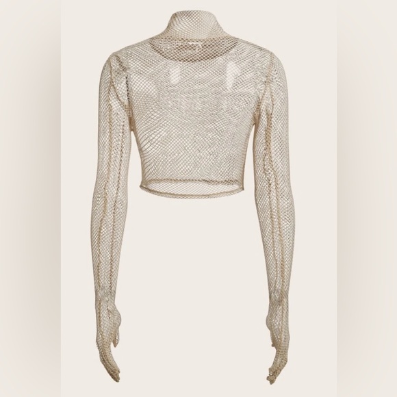 Tops | Sheer Mesh Crop Top With Glovedsleeves | Poshmark